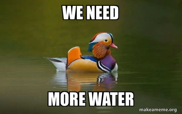 WE need more water - Fashionable Advice Mallard | Make a Meme