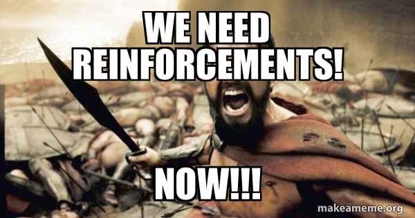 Reinforcement Memes