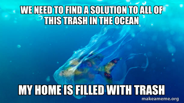 We need to find a solution to all of this trash in the ocean My home is ...
