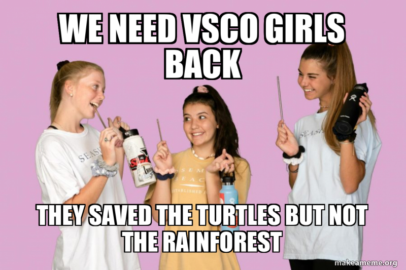 we need vsco girls back they saved the turtles but not the rainforest ...