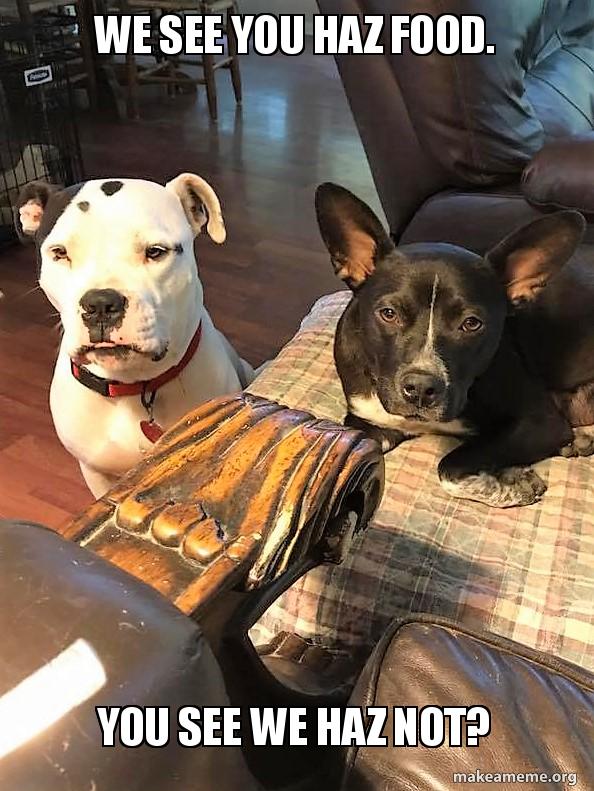 We see you haz food. You see we haz not? Meme Generator