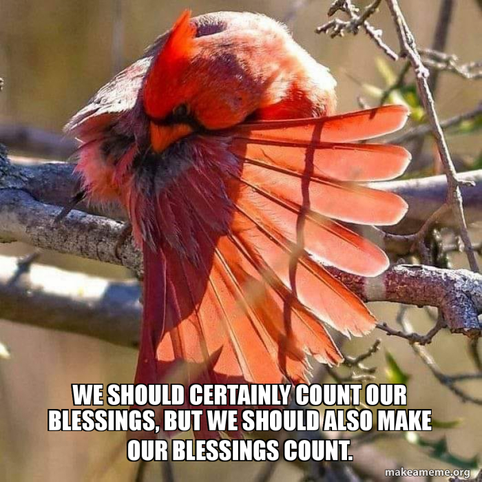 We should certainly count our blessings, but we should also make our ...