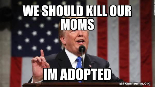 we should kill our moms im adopted - Donald Trump Meme Generator