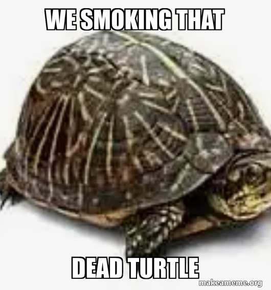 WE SMOKING THAT Dead turtle Meme Generator
