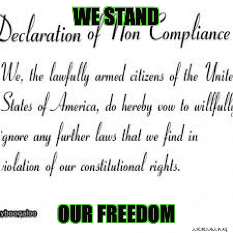 We stand Our Freedom Meme Generator