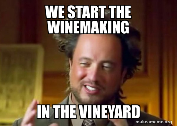Winemaker Memes Tasting Wine] Me: Notes Of Updog Winemaker: That's
