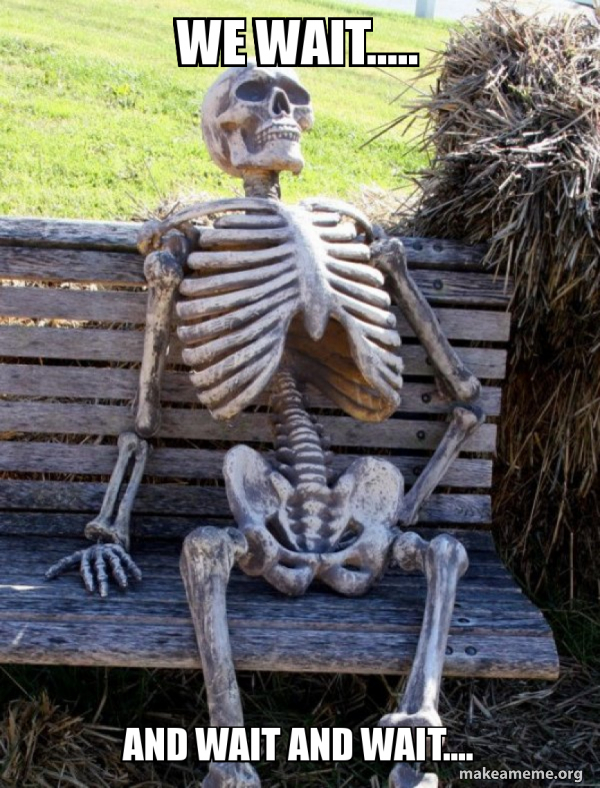 We wait..... And wait and wait.... - Waiting Skeleton Meme Generator