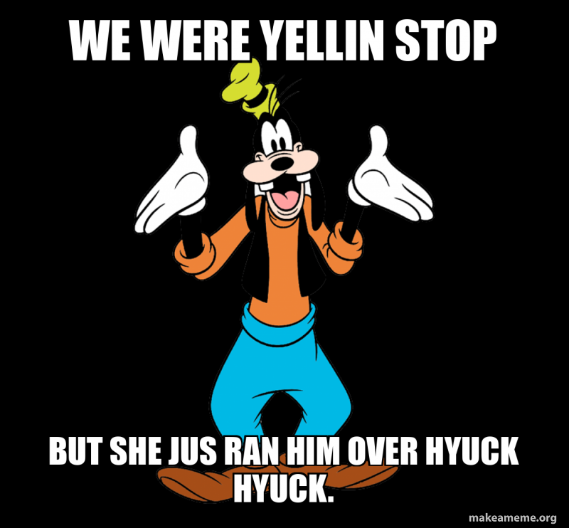 we were yellin stop but she jus ran him over hyuck hyuck. Meme Generator