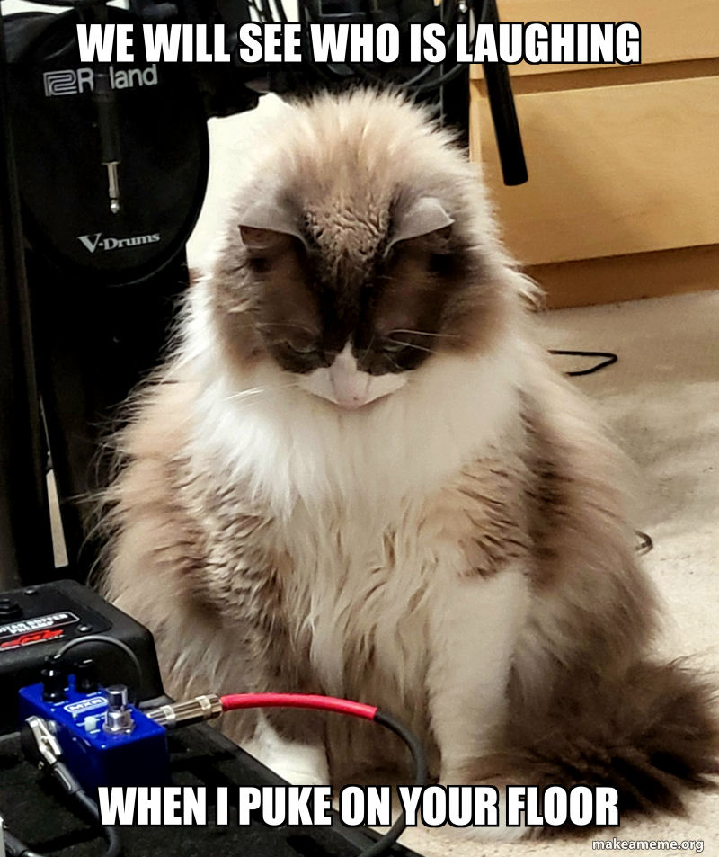 We will see who is laughing When I puke on your floor Meme Generator