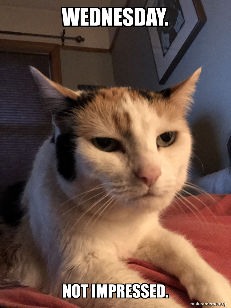 Wednesday. Not impressed. Meme Generator