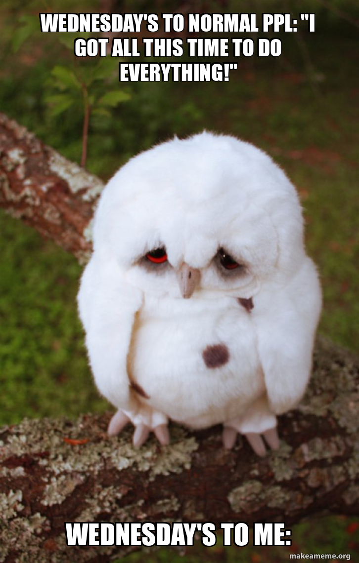 Wednesday's to normal ppl: "I got all this time to do everything ...