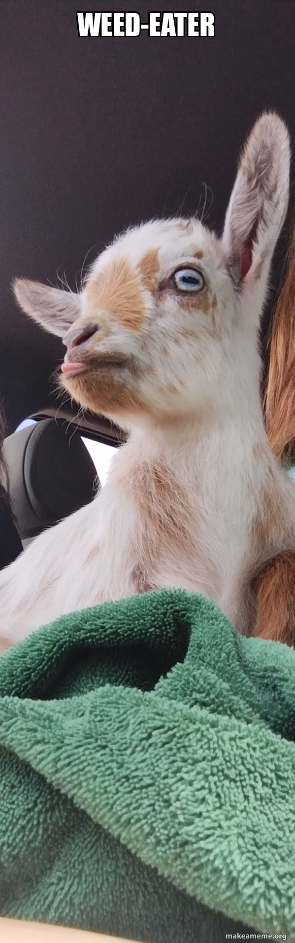 Weed-Eater Meme Generator