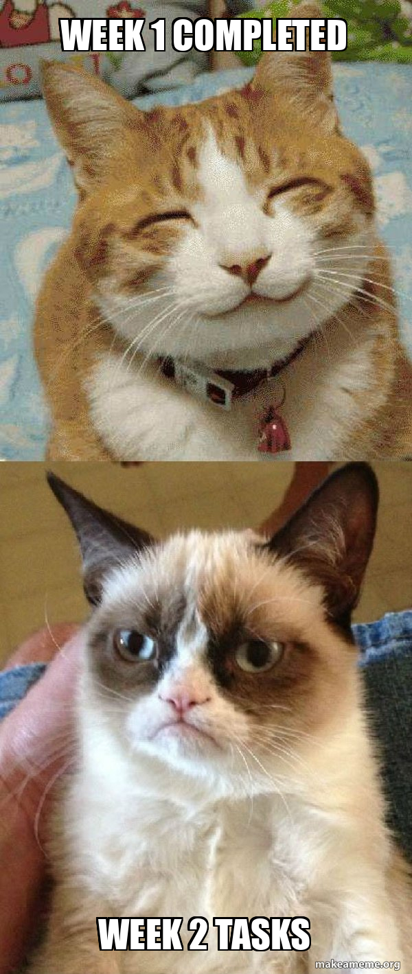 Week 1 Completed Week 2 Tasks - Grumpy Cat vs Happy Cat Meme Generator