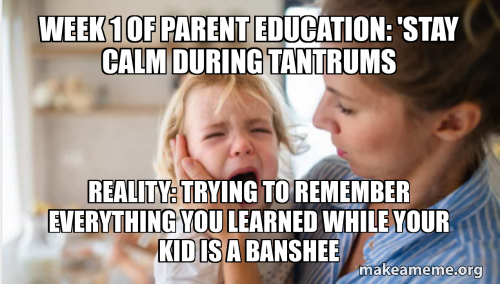 Week 1 of Parent Education: 'Stay calm during tantrums Reality: Trying ...
