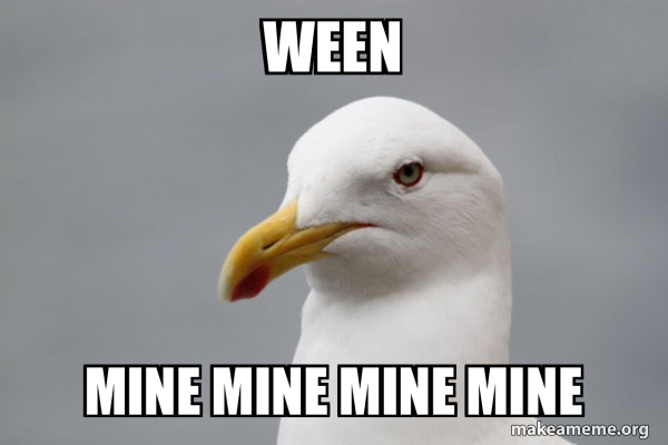 WEEN MINE MINE MINE MINE - Stuff That Didn't Happen Seagull Meme Generator