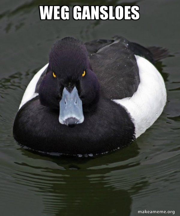 weg gansloes - Revenge Duck ( Angry Advice Duck ) Meme Generator