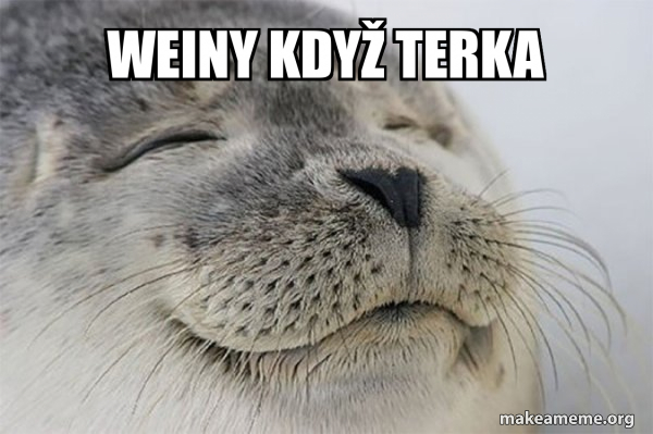 Weiny když Terka - Satisfied Seal Meme Generator