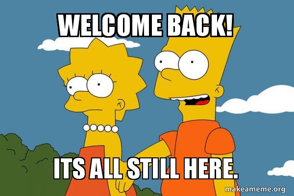 Welcome back! Its all still here. - Bart and Lisa Chat Meme Generator