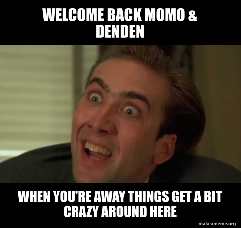 Welcome back momo & Denden When you're away things get a bit crazy ...