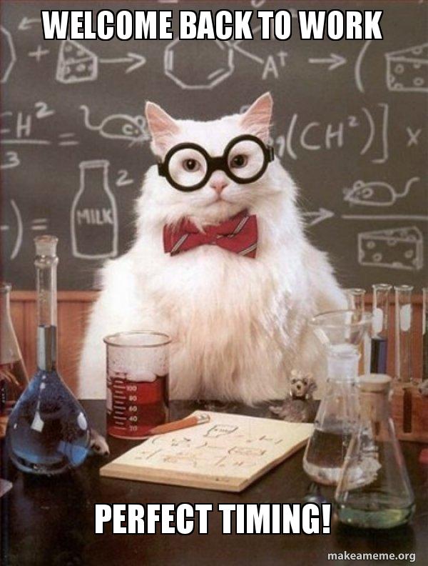 Welcome back to work Perfect timing! - Chemistry Cat Meme Generator