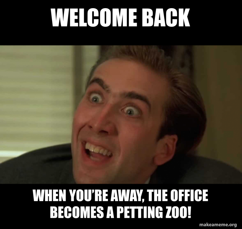 Welcome back When you’re away, the office becomes a petting zoo ...