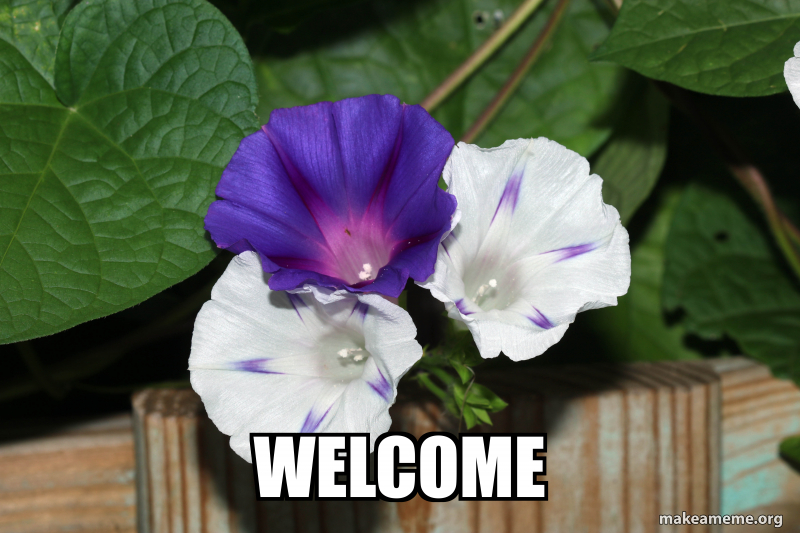welcome Meme Generator