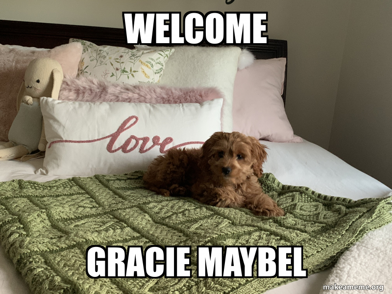 Welcome Gracie Maybel Meme Generator