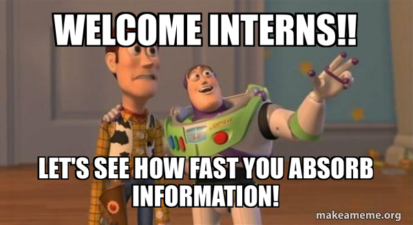 Welcome Interns!! Let's see how fast you absorb information! - Buzz and ...