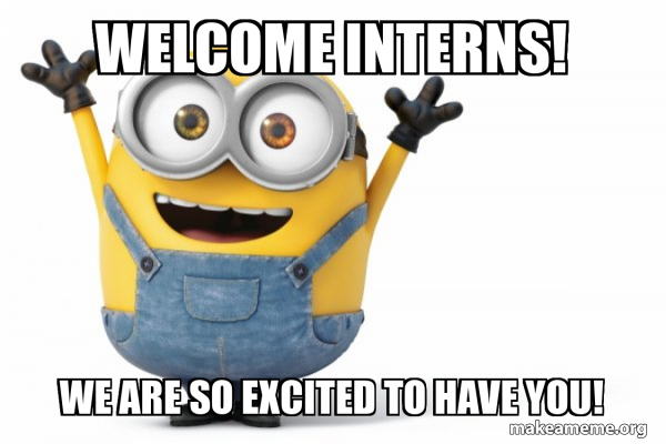 Welcome Interns! We are so excited to have you! - Happy Minion Meme ...