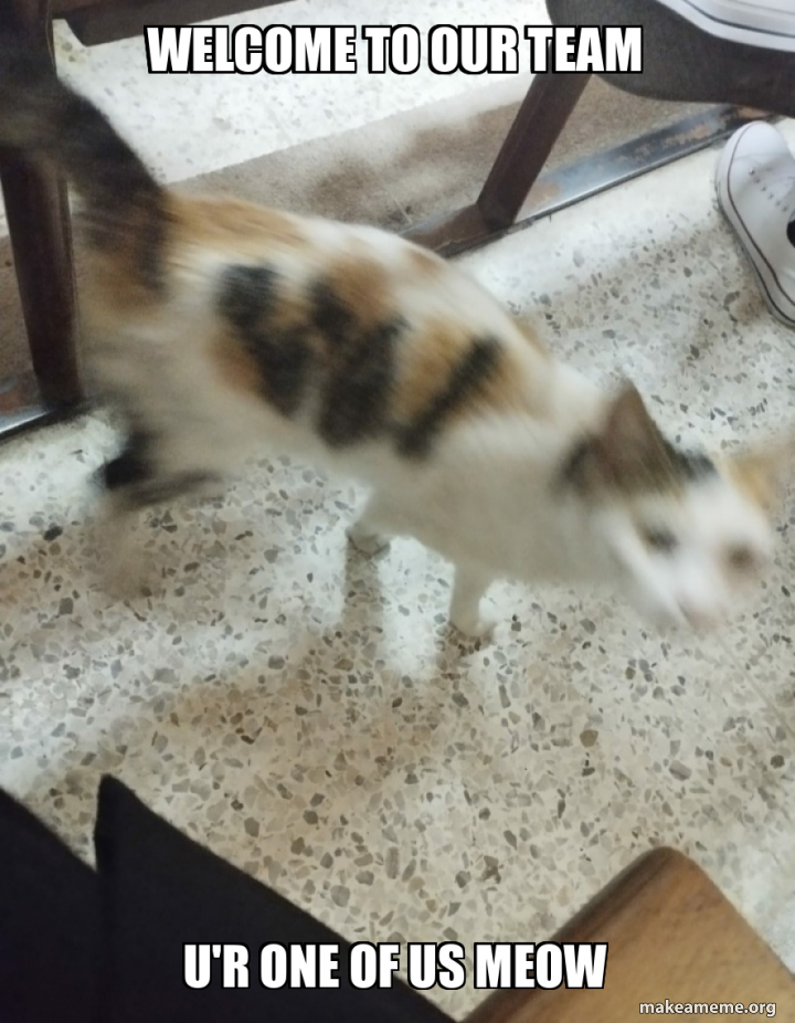 Welcome to our team U'r one of us meow Meme Generator