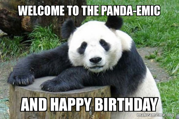 Welcome to the Panda-emic and Happy Birthday - Confession Panda Meme ...