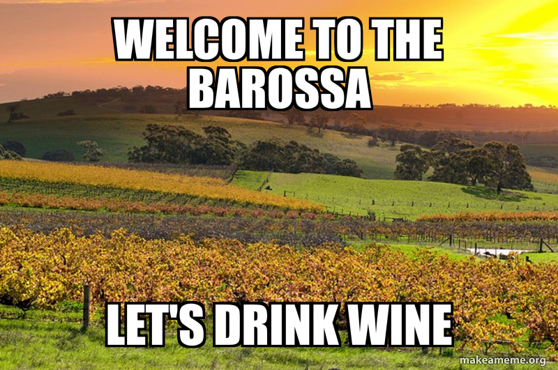 WELCOME TO THE BAROSSA LET'S DRINK WINE Meme Generator