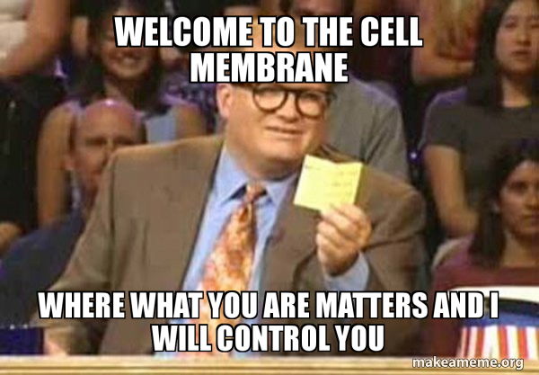 Welcome to the Cell Membrane Where What you are matters and I will ...