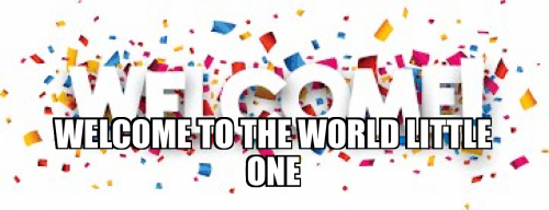 welcome to the world little one Meme Generator