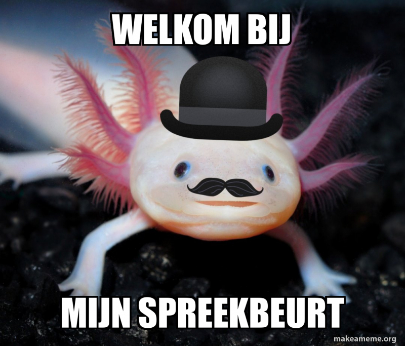 welkom bij mijn spreekbeurt Meme Generator