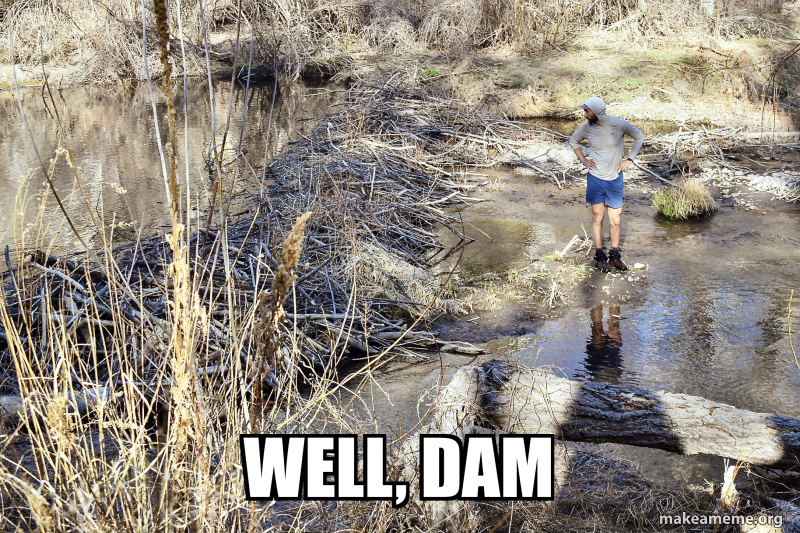 well, Dam Meme Generator