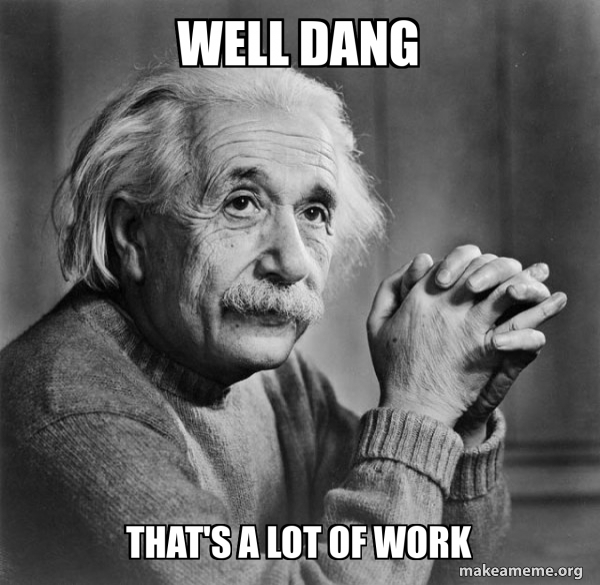 Well dang That's a lot of work - Serious Albert Einstein Meme Generator