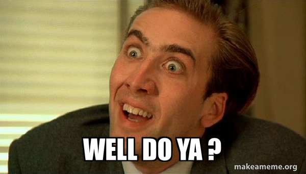 Well do ya ? - Sarcastic Nicholas Cage Meme Generator