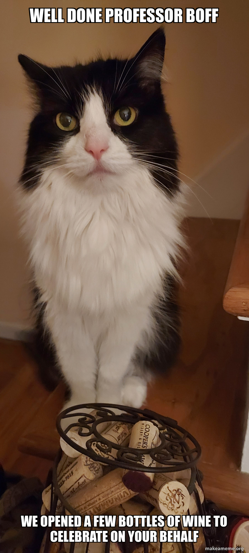 Well done Professor Boff We opened a few bottles of wine to celebrate ...