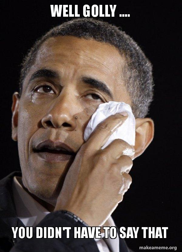 Well golly .... you didn't have to say THAT - Crying Obama Meme Generator