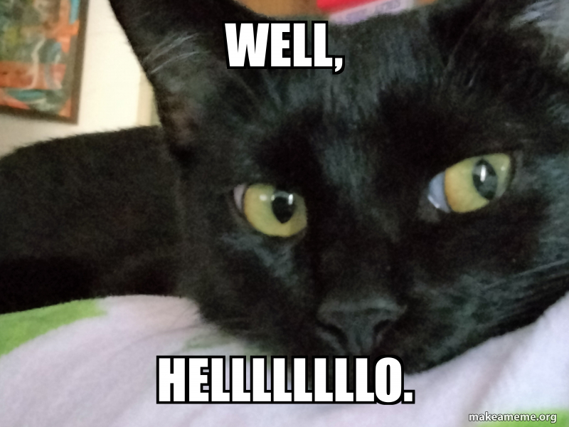 well, hellllllllo. Meme Generator
