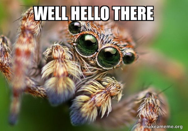 well hello there - Hipster Spider Meme Generator