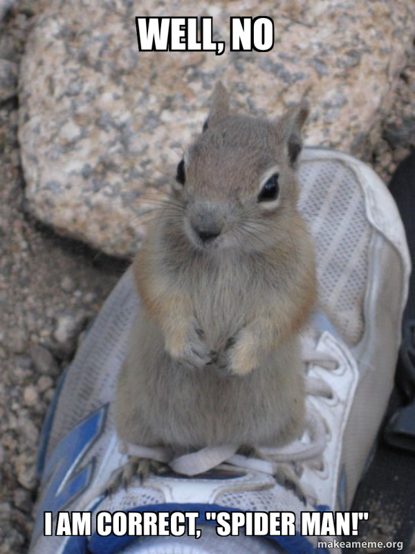 Well, no I am correct, "Spider man!" - Standover Squirrel Meme Generator