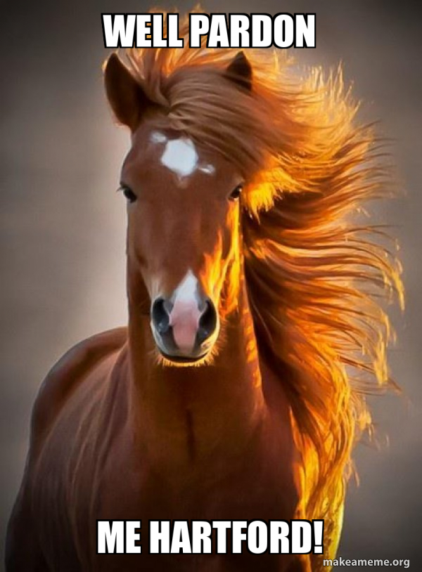 Well pardon me Hartford! - Ridiculously photogenic horse Meme Generator