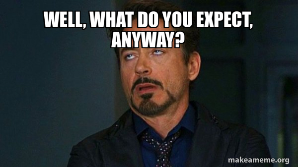 Well, what do you expect, anyway? - Tony Stark Eye Roll Meme Generator