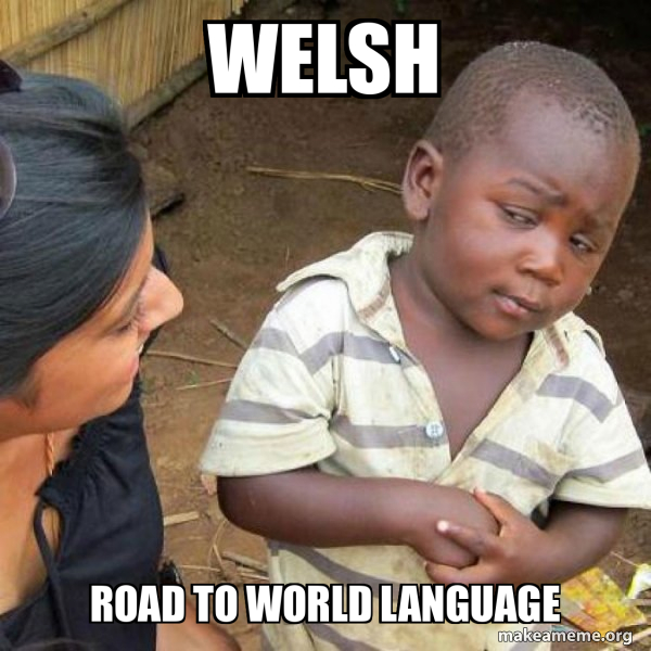 Welsh Road to World Language - Skeptical Third World Kid Meme Generator