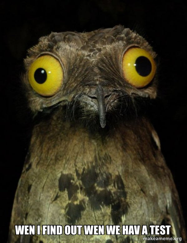 wen i find out wen we hav a test - Weird Stuff I do Potoo Meme Generator
