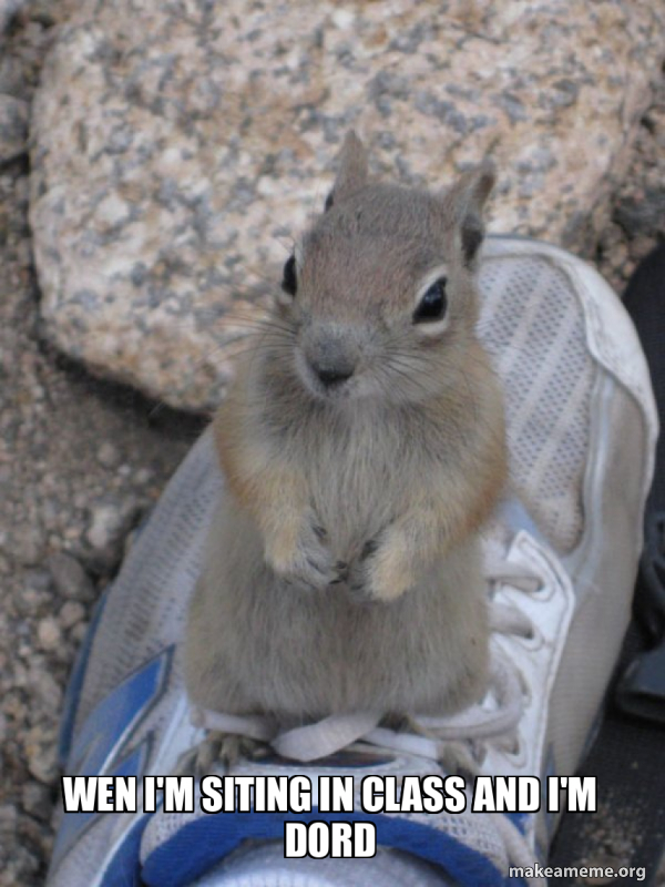 wen i'm siting in class and i'm dord - Standover Squirrel Meme Generator