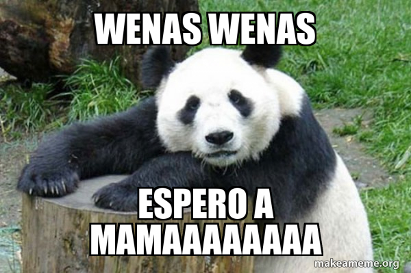 wenas wenas espero a mamaaaaaaaa - Confession Panda Meme Generator