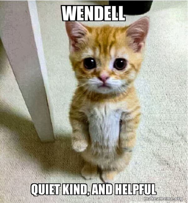 Wendell quiet kind, and helpful - Cute Cat Standing Meme Generator
